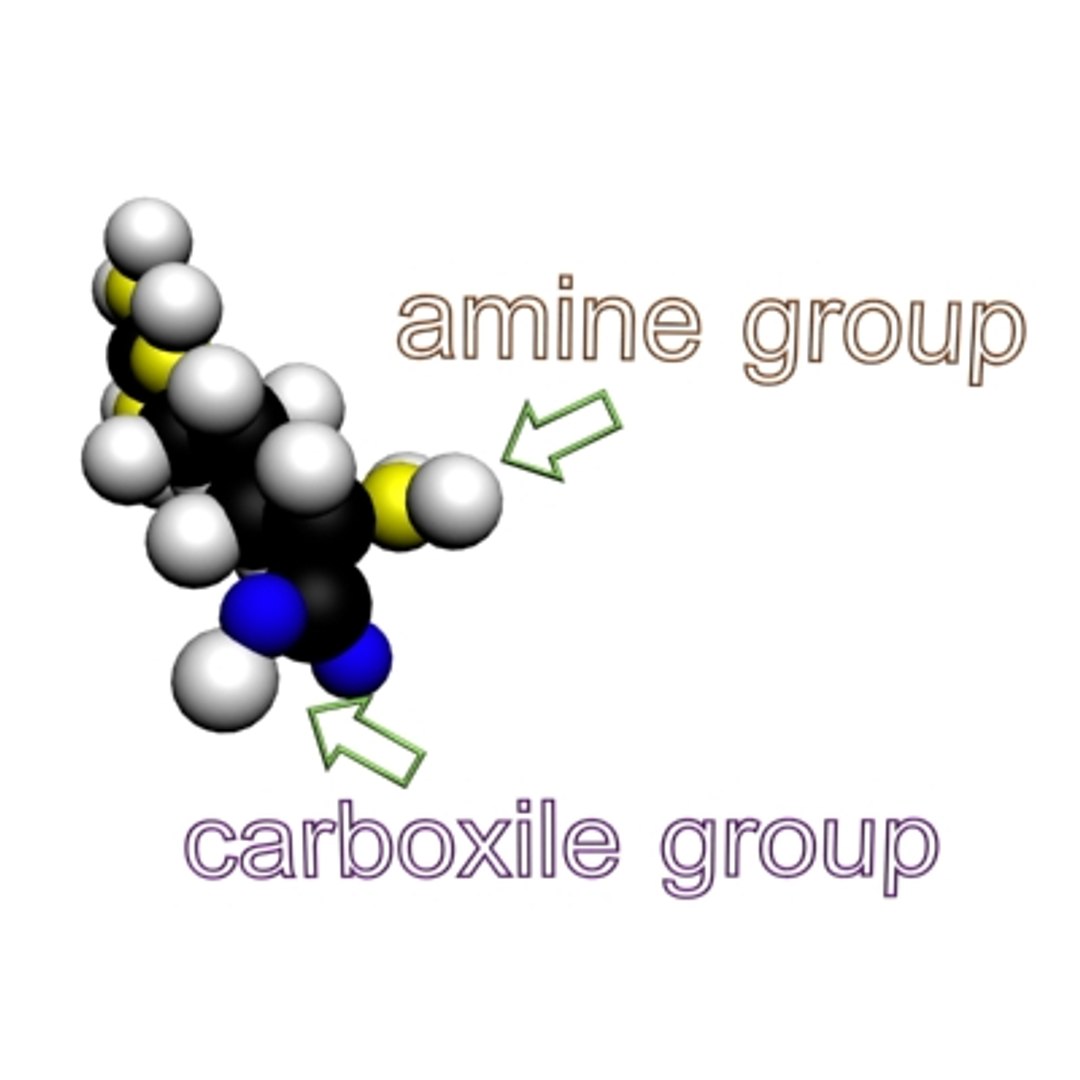 Free Atom Chemical 3d Model