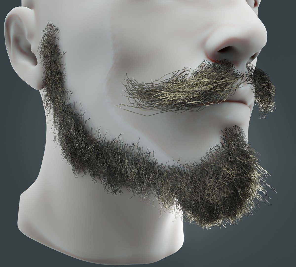 Beard RealTime 4 Version 2 3D Model - TurboSquid 1892329