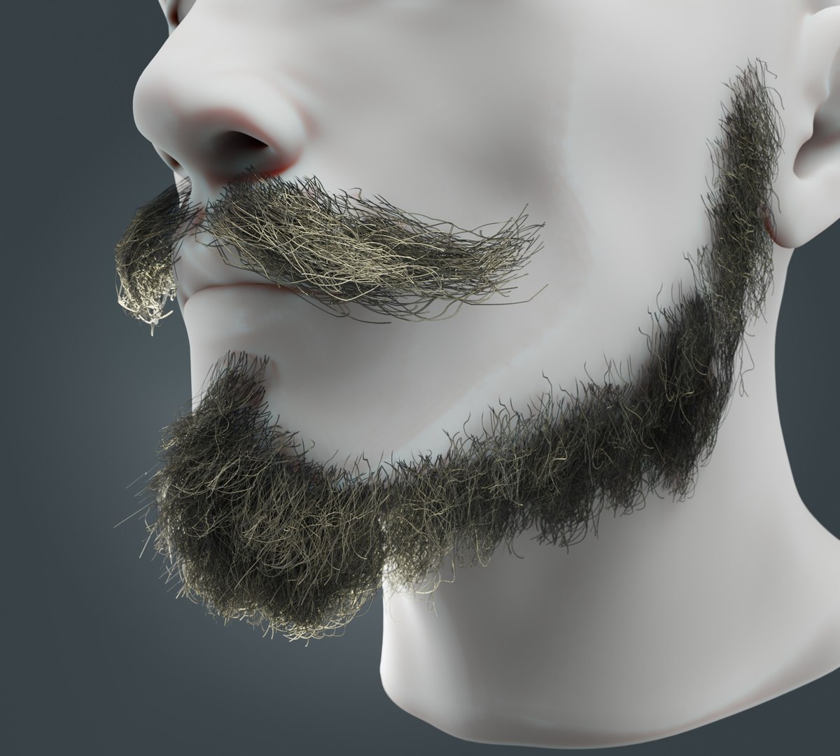 Beard RealTime 4 Version 2 3D Model - TurboSquid 1892329