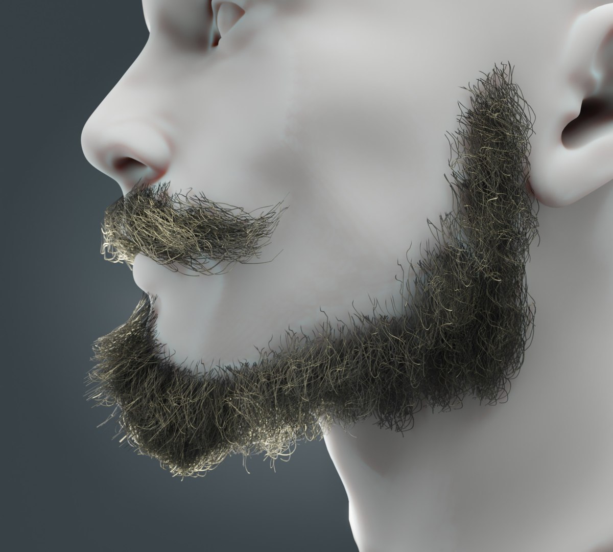 Beard RealTime 4 Version 2 3D Model - TurboSquid 1892329
