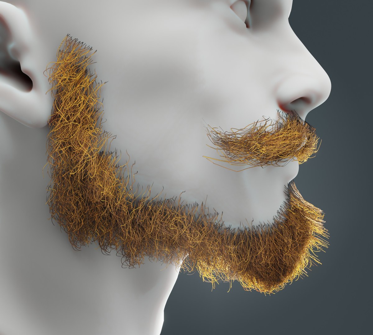 Beard RealTime 4 Version 2 3D Model - TurboSquid 1892329