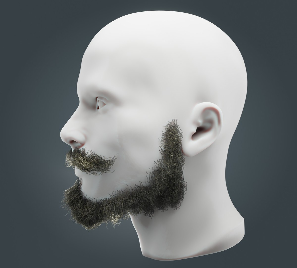 Beard RealTime 4 Version 2 3D Model - TurboSquid 1892329