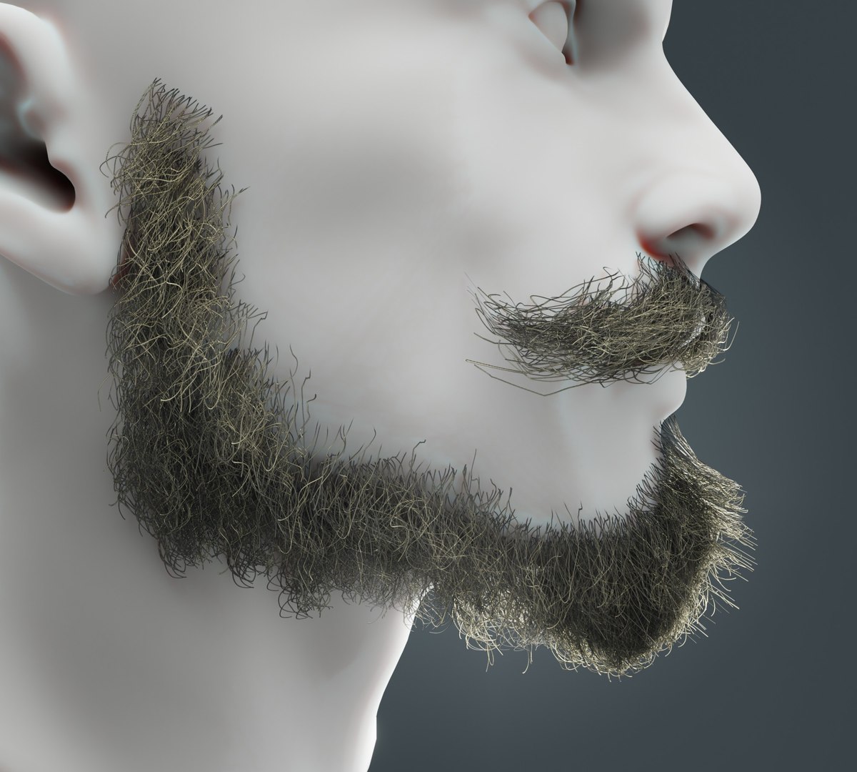 Beard RealTime 4 Version 2 3D Model - TurboSquid 1892329