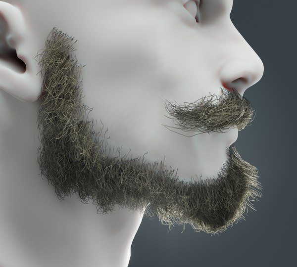 3D Beard Models | TurboSquid