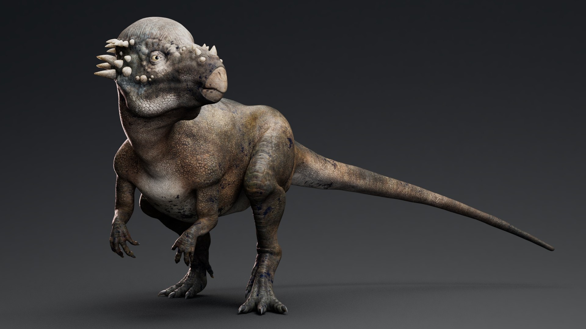 modelo 3d Pachycephalosaurus Unreal Engine - Proyectos Unity ...