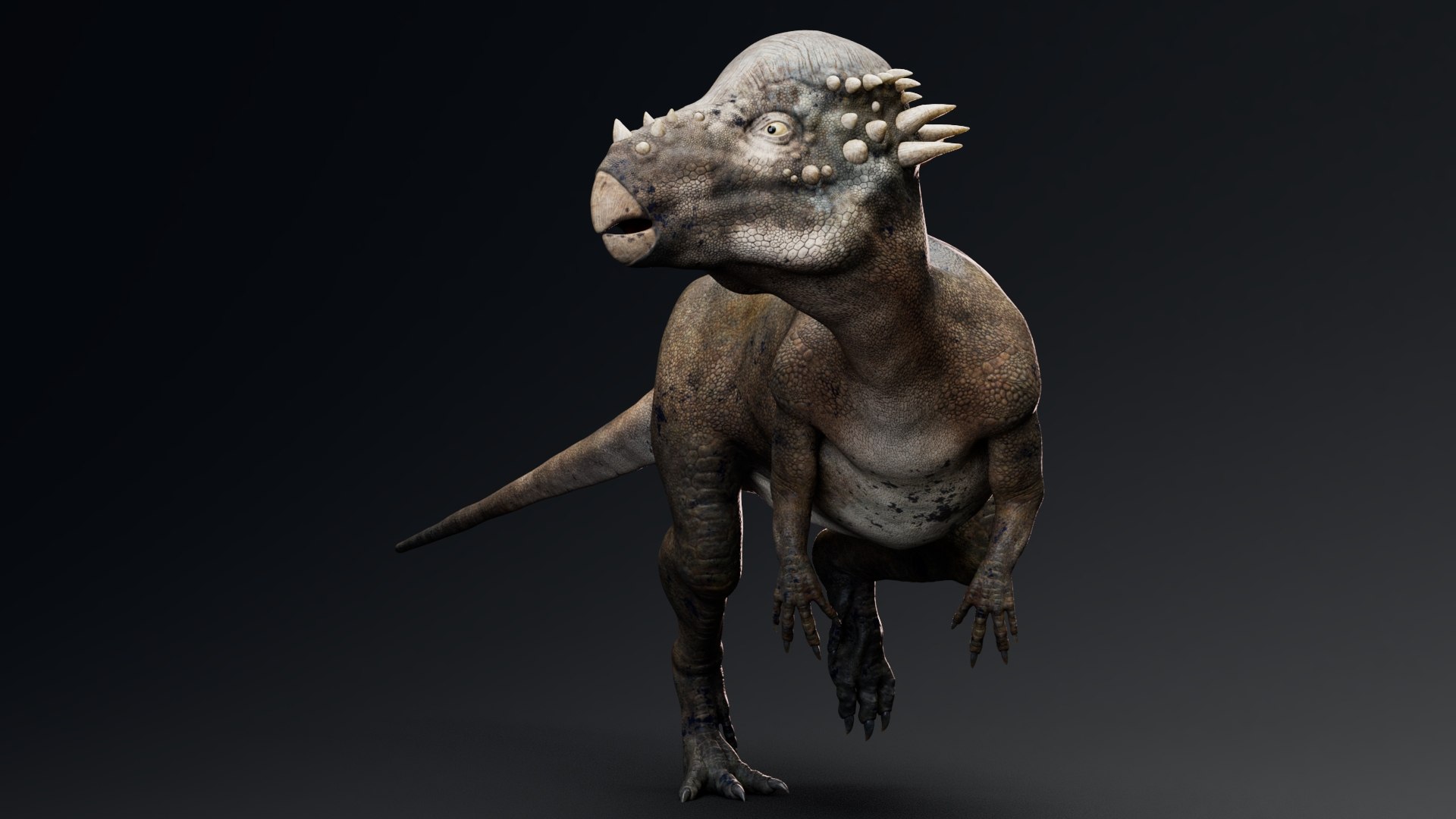 Pachycephalosaurus Unreal Engine - Unity Projects 3D Model - TurboSquid ...