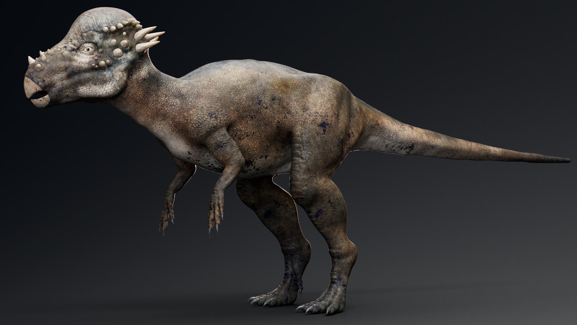 Pachycephalosaurus Unreal Engine - Unity Projects 3D Model - TurboSquid ...