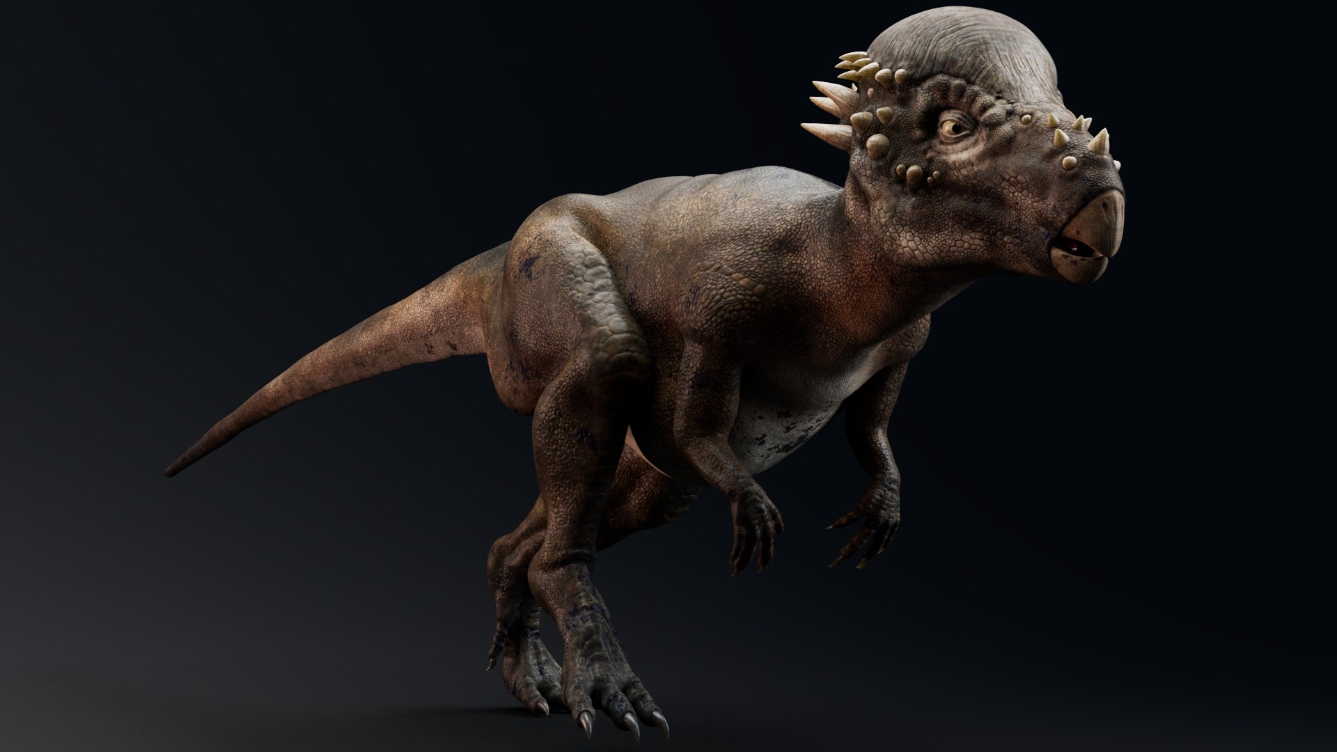 Pachycephalosaurus Unreal Engine - Unity Projects 3D Model - TurboSquid ...