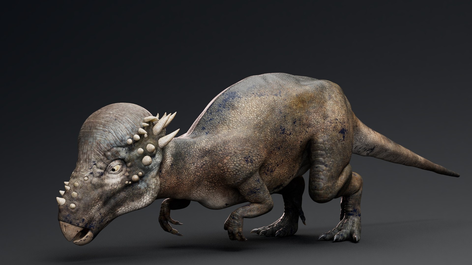 Pachycephalosaurus Unreal Engine - Unity Projects 3D Model - TurboSquid ...