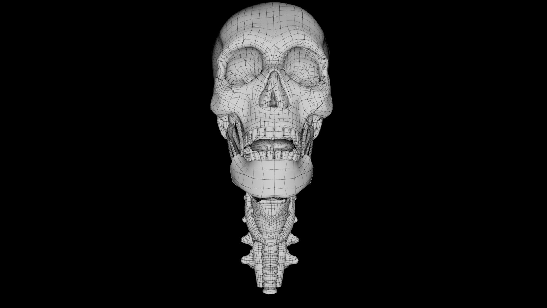 Human Anatomy-Muscular System-Buccopharyngeal Region Muscles 3D Model ...