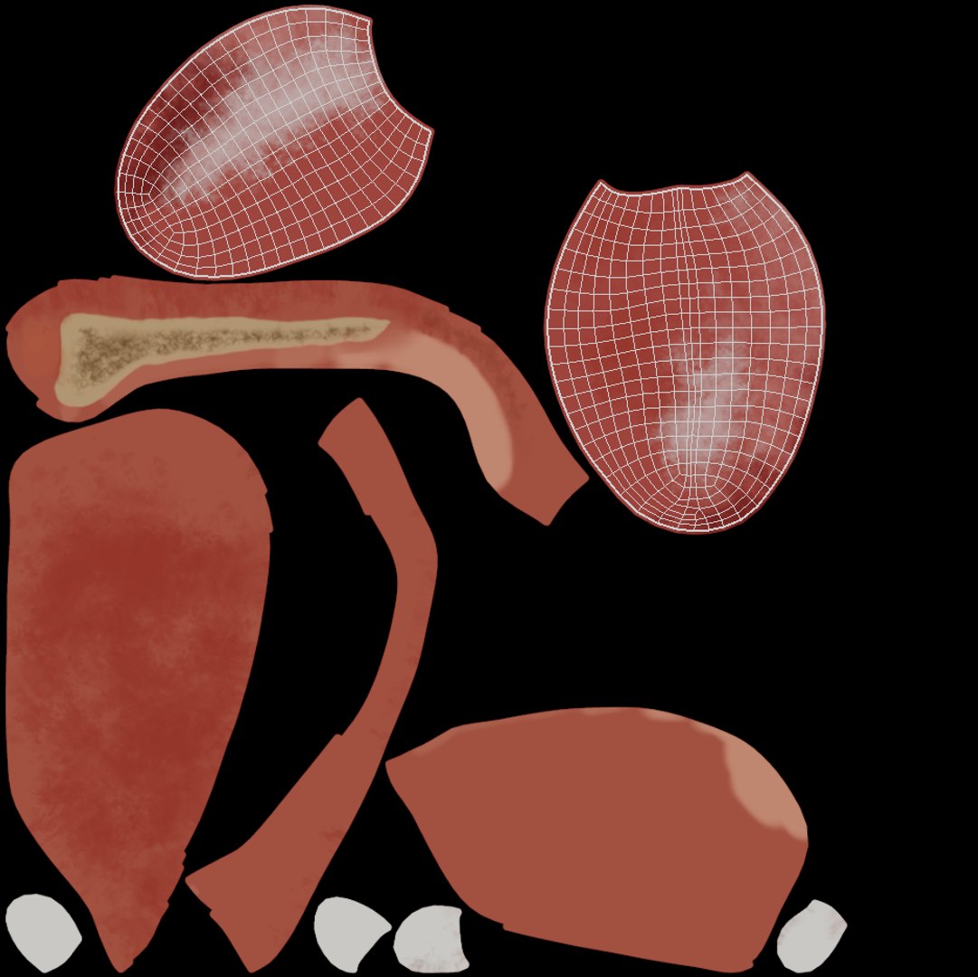 Human Anatomy-Muscular System-Buccopharyngeal Region Muscles 3D Model ...