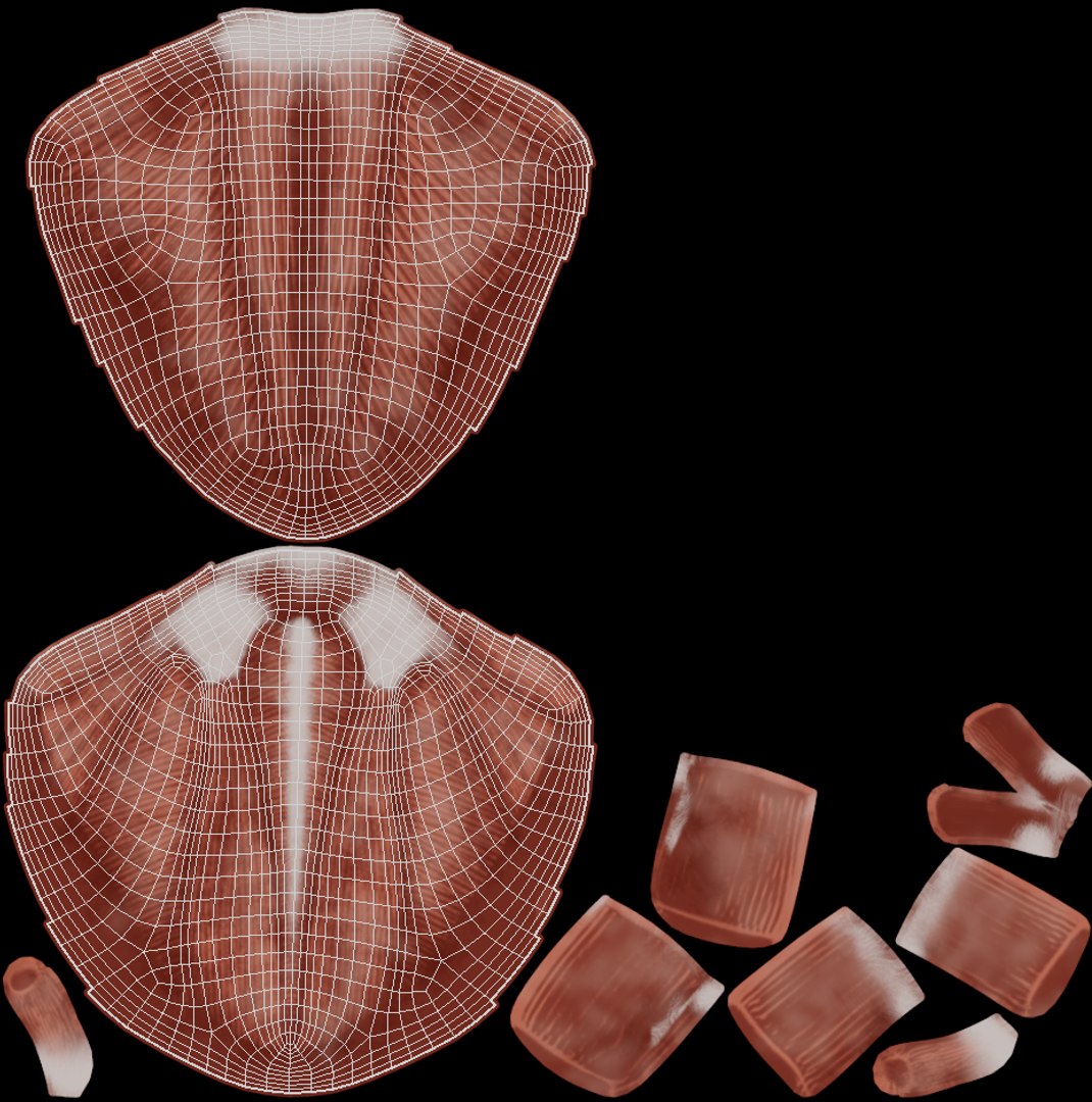 Human Anatomy-Muscular System-Buccopharyngeal Region Muscles 3D Model ...