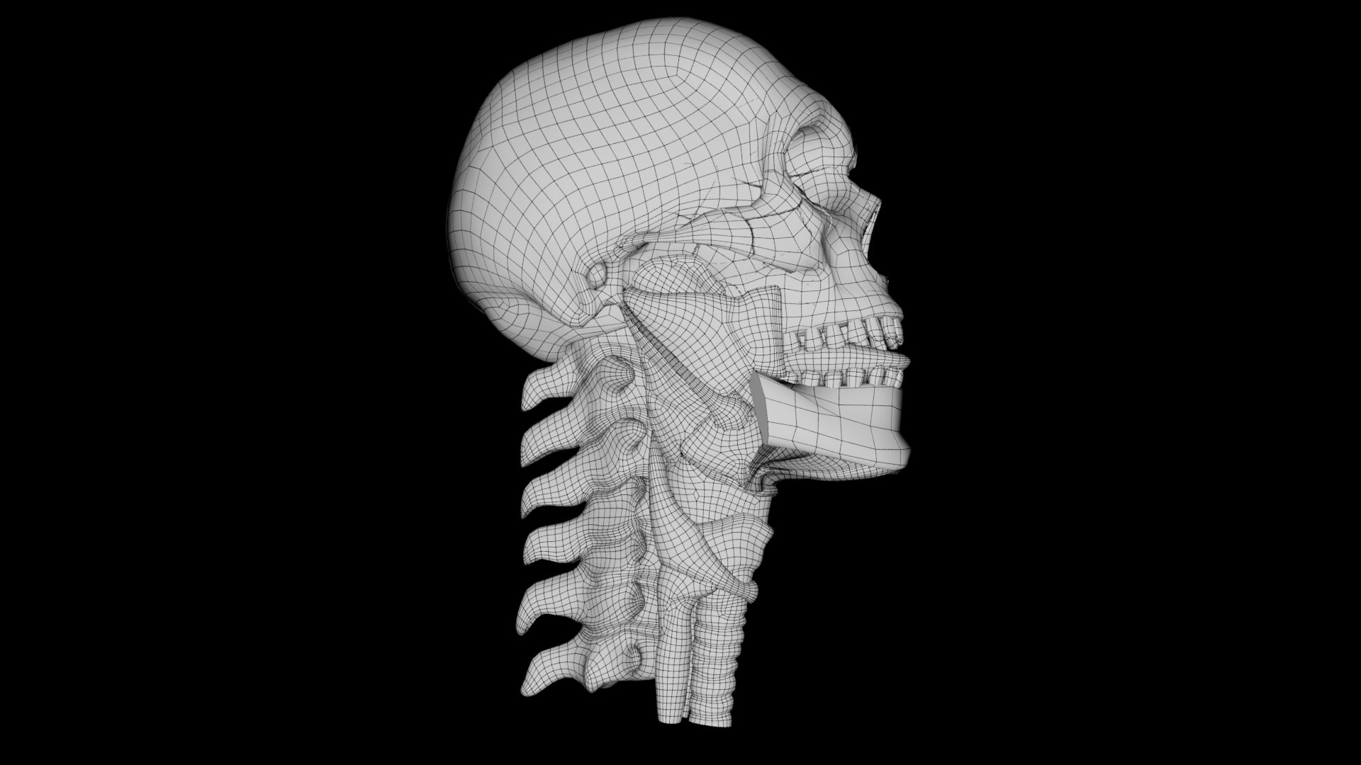Human Anatomy-Muscular System-Buccopharyngeal Region Muscles 3D Model ...