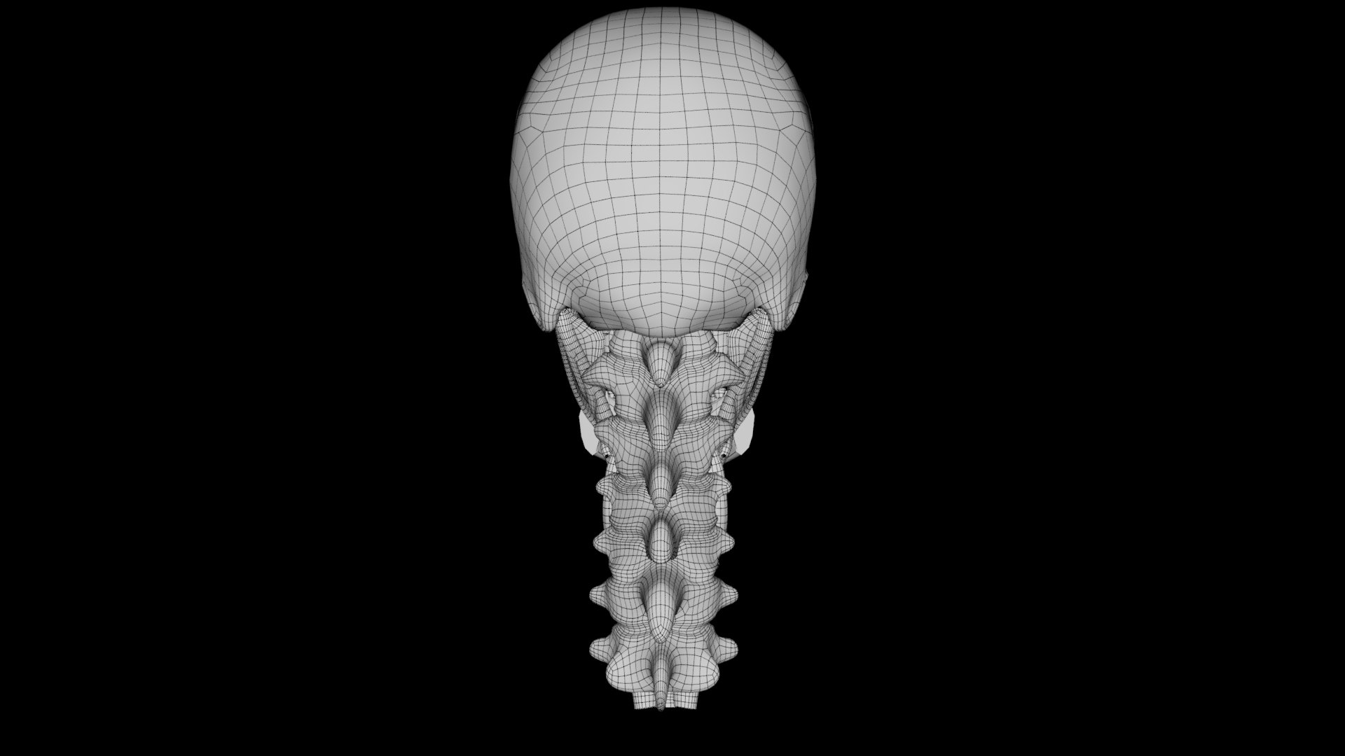 Human Anatomy-Muscular System-Buccopharyngeal Region Muscles 3D Model ...