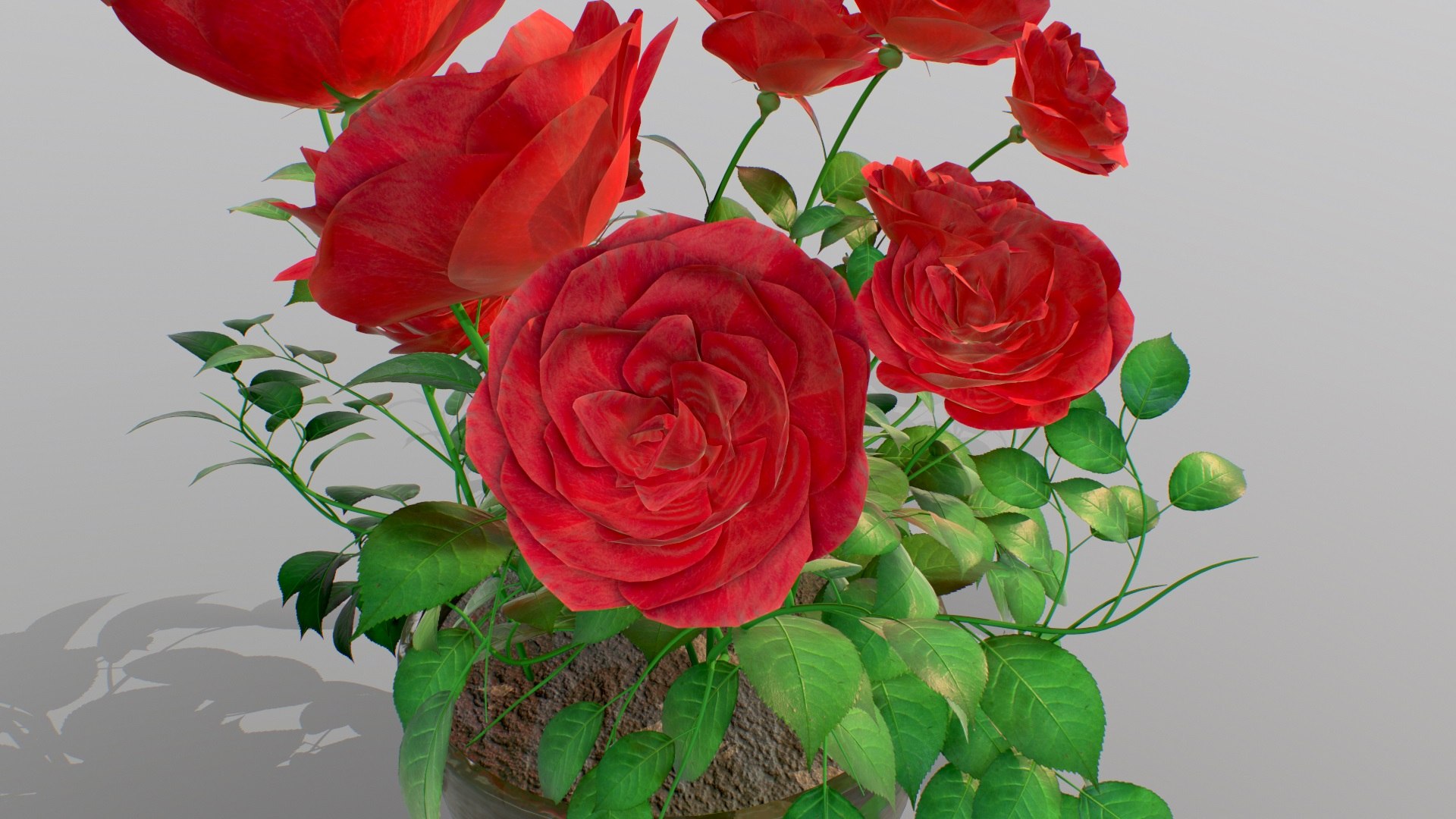Roses 3D Model - TurboSquid 1779323