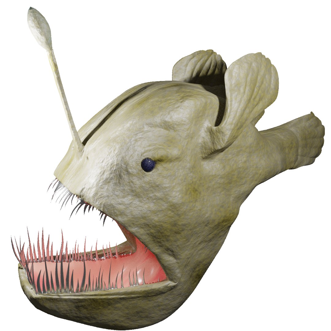 3D monkfish rig - TurboSquid 1608512