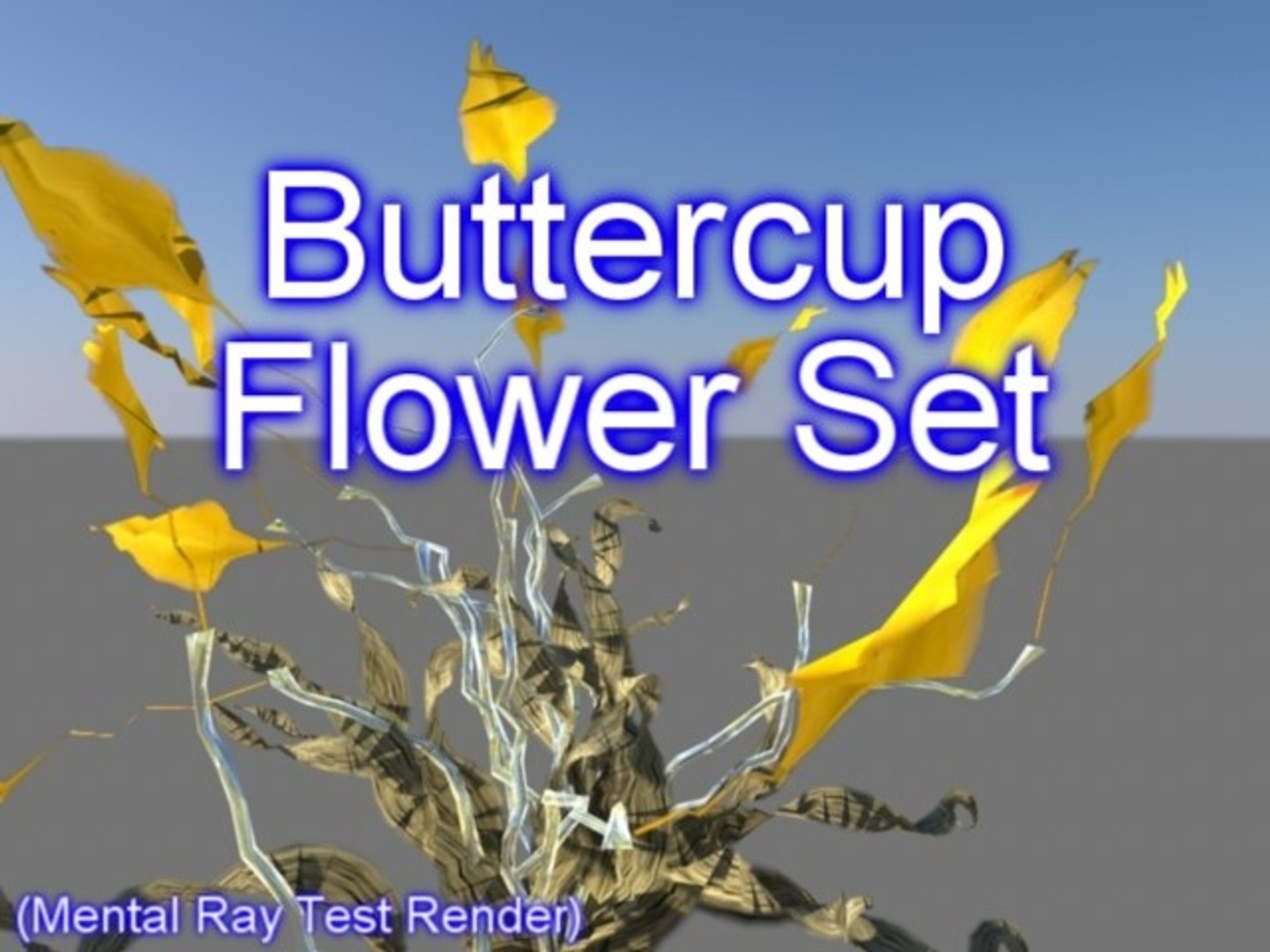 set buttercup flowers 3d model