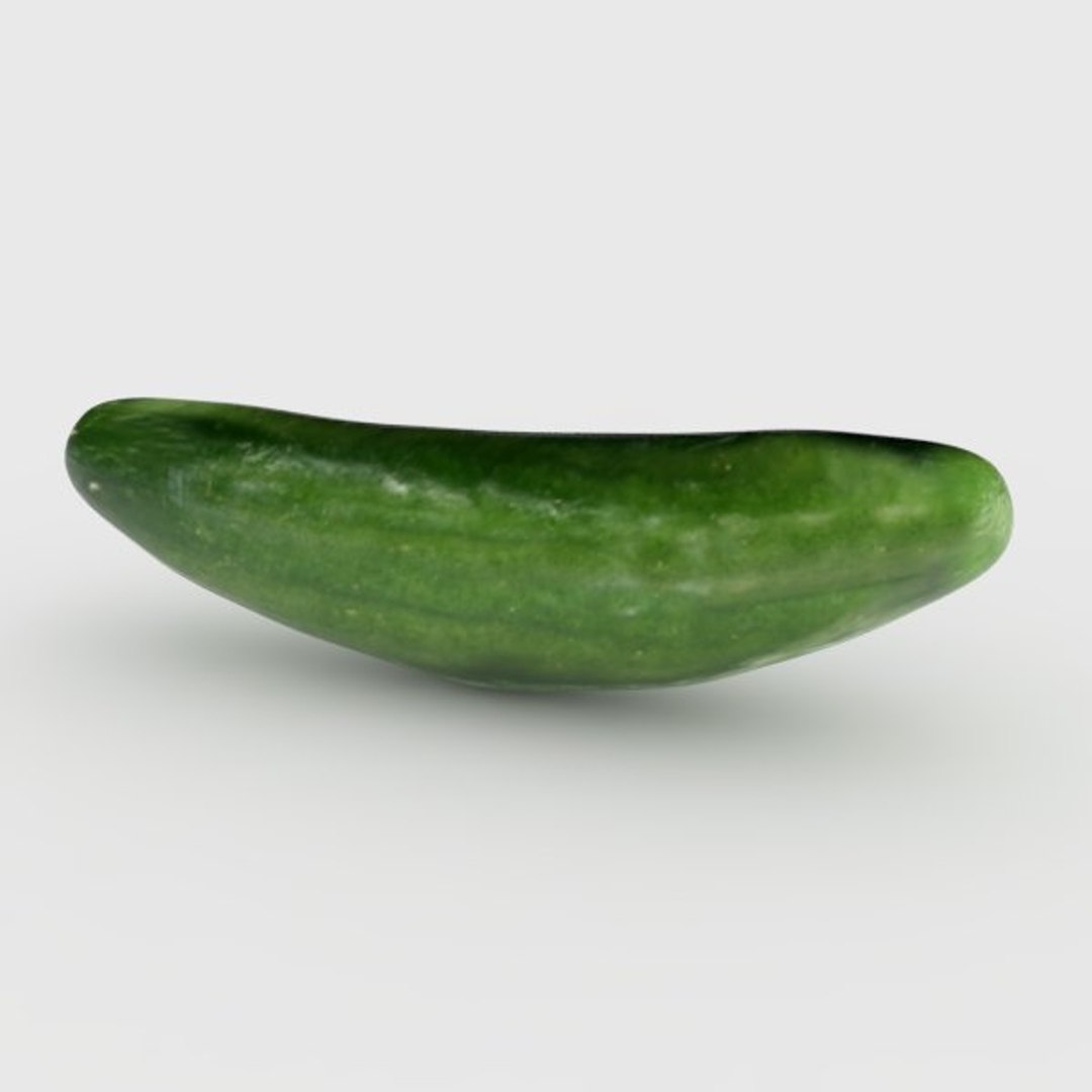 3d Model Of Green Cucumber