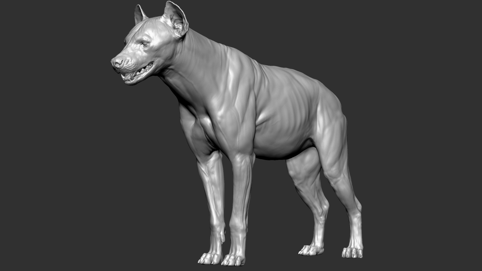 Hyena VFX MUSCLE SIMULATION 3D model - TurboSquid 1739752