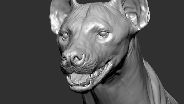Hyena VFX MUSCLE SIMULATION 3D model - TurboSquid 1739752