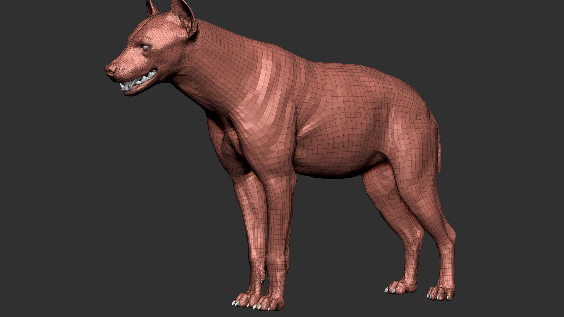 Hyena VFX MUSCLE SIMULATION 3D model - TurboSquid 1739752