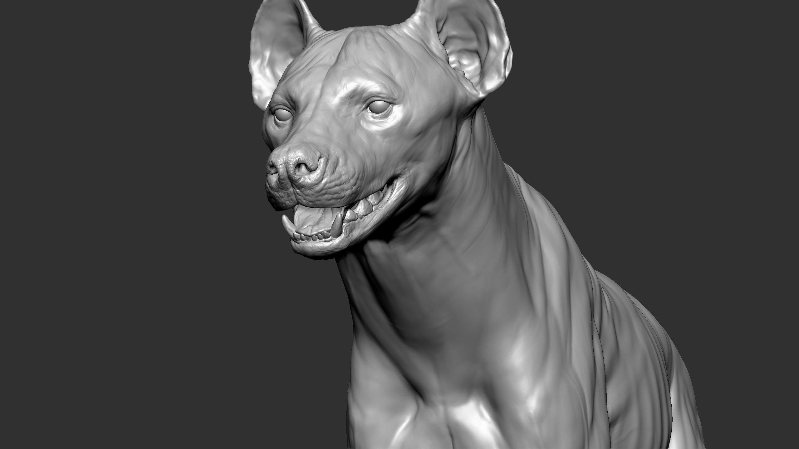 Hyena VFX MUSCLE SIMULATION 3D model - TurboSquid 1739752