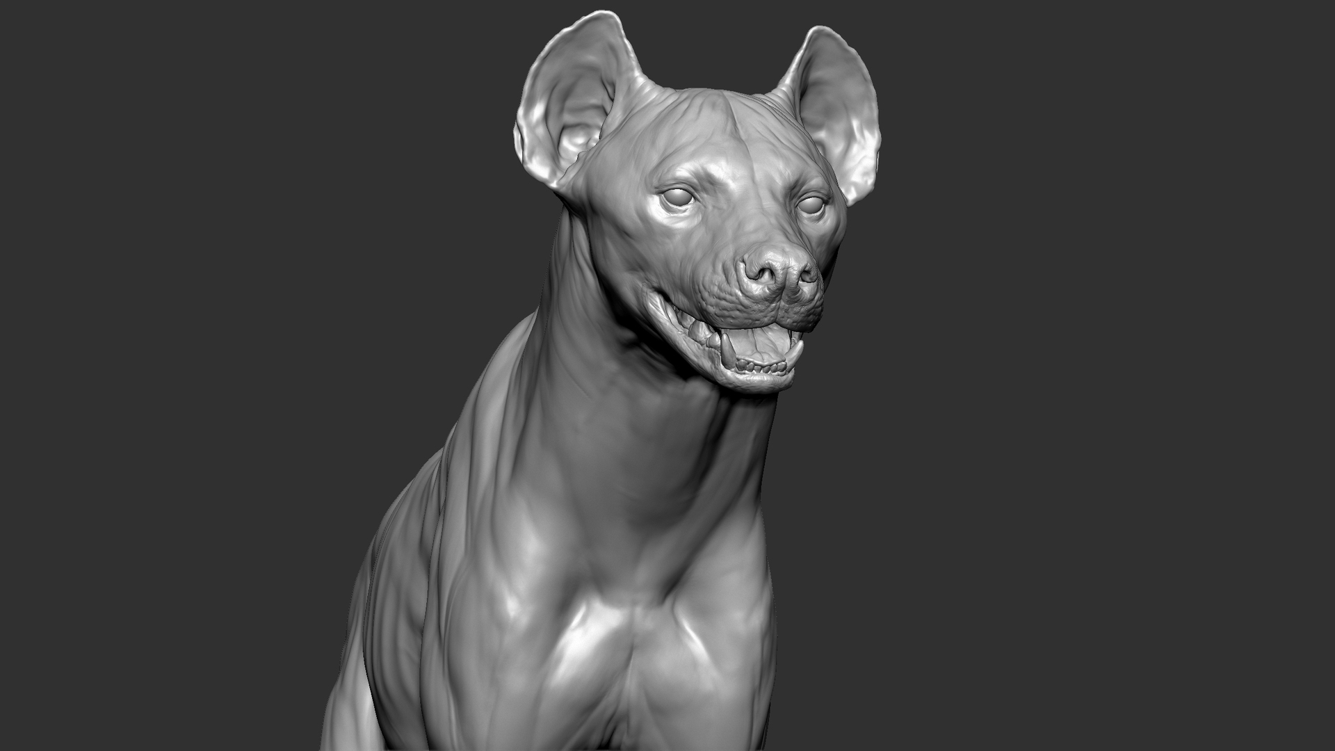 Hyena VFX MUSCLE SIMULATION 3D model - TurboSquid 1739752