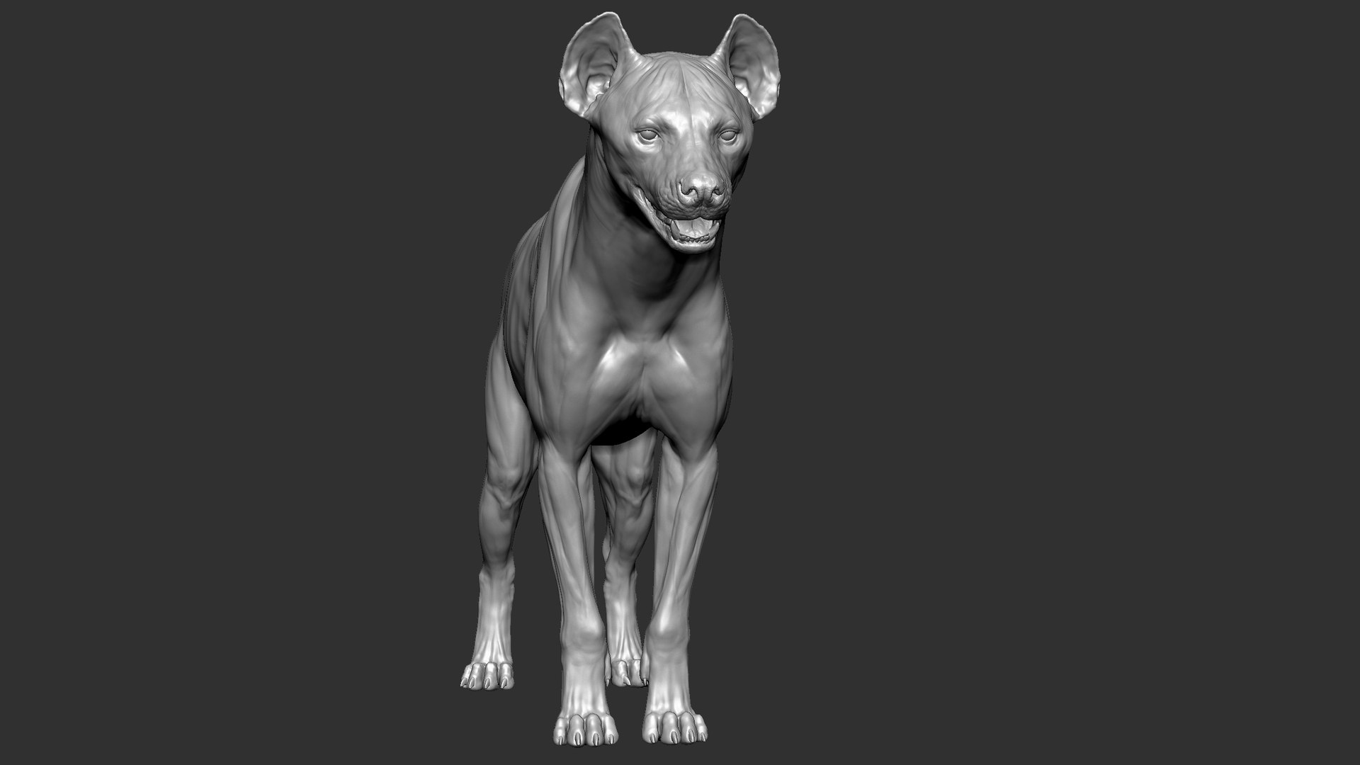 Hyena VFX MUSCLE SIMULATION 3D model - TurboSquid 1739752