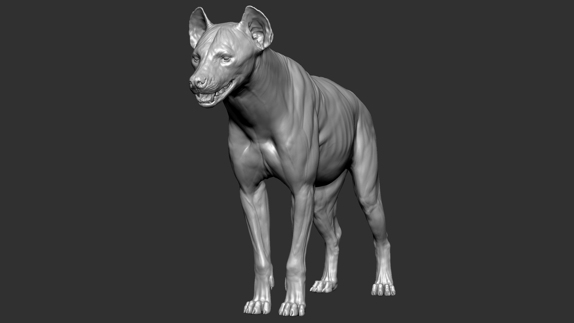 Hyena VFX MUSCLE SIMULATION 3D model - TurboSquid 1739752