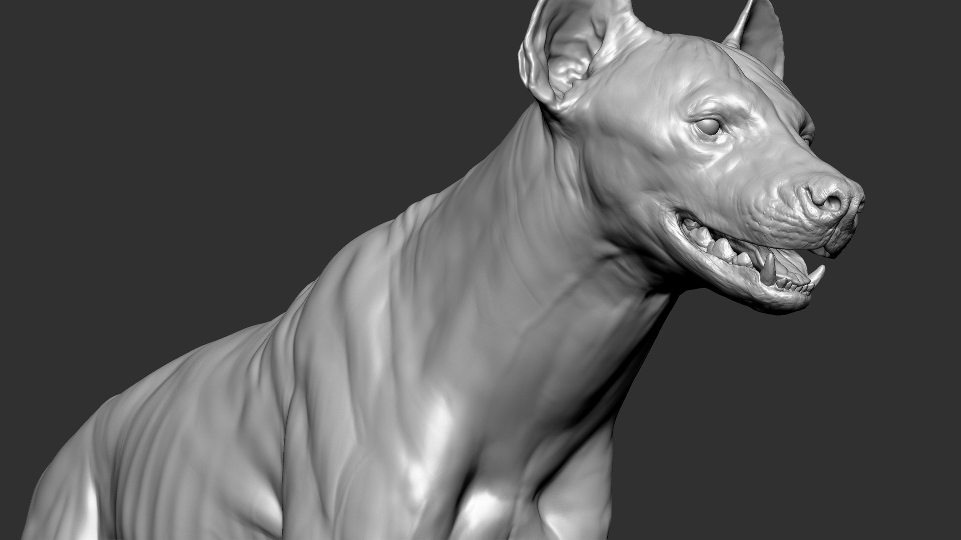 Hyena VFX MUSCLE SIMULATION 3D model - TurboSquid 1739752