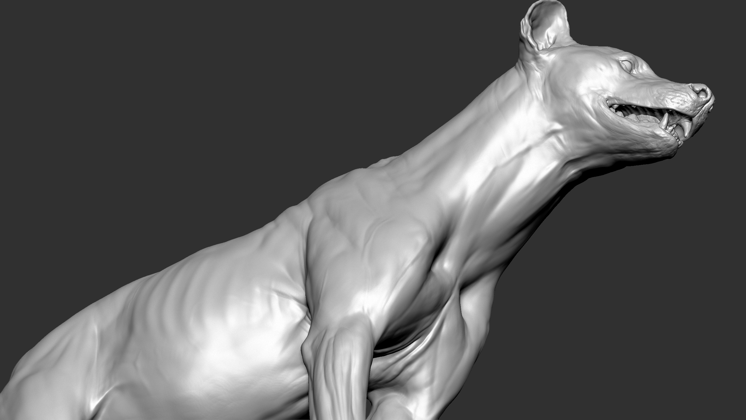 Hyena VFX MUSCLE SIMULATION 3D model - TurboSquid 1739752
