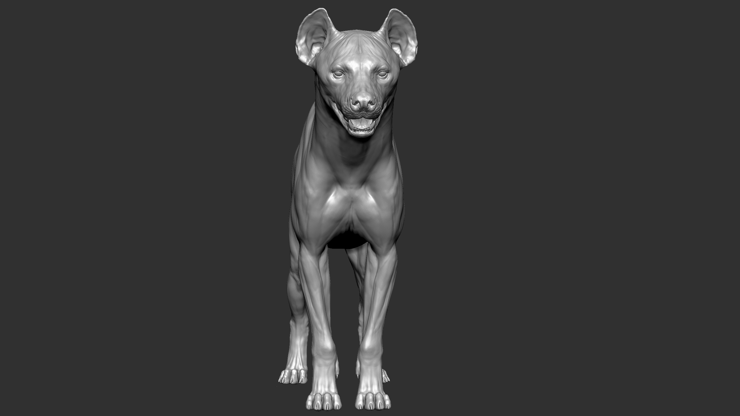 Hyena VFX MUSCLE SIMULATION 3D model - TurboSquid 1739752