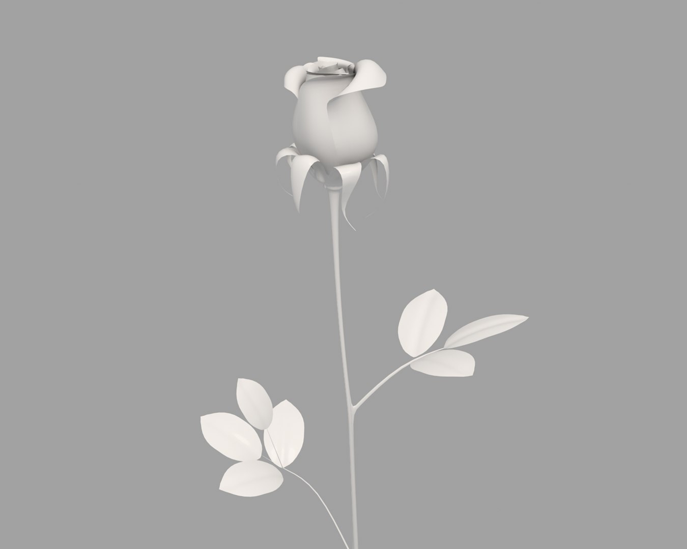 Rose 3d C4d