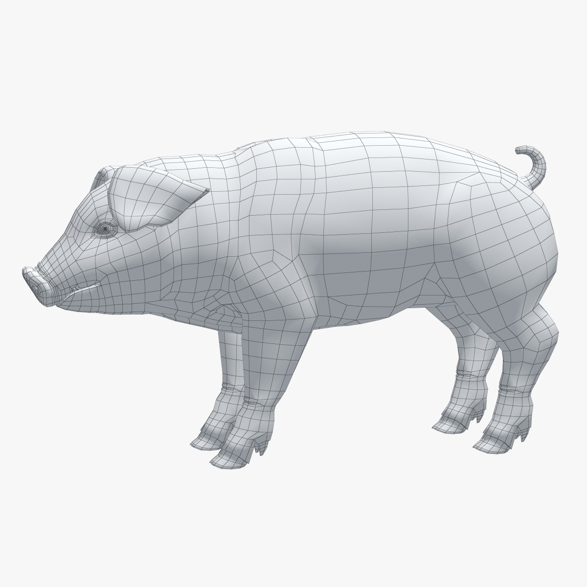 pig pork 3d model