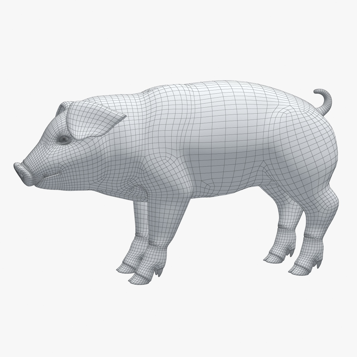 pig pork 3d model