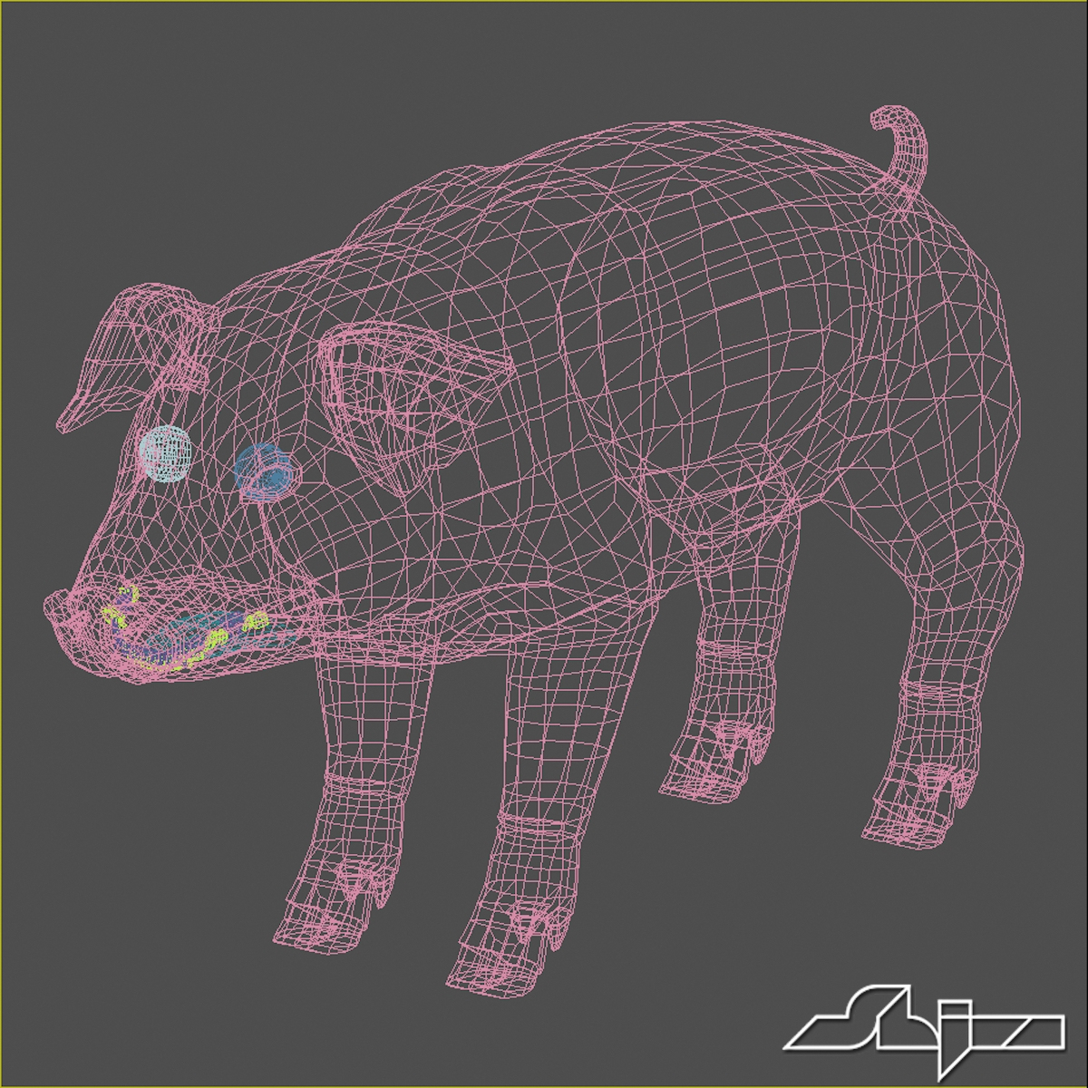 pig pork 3d model