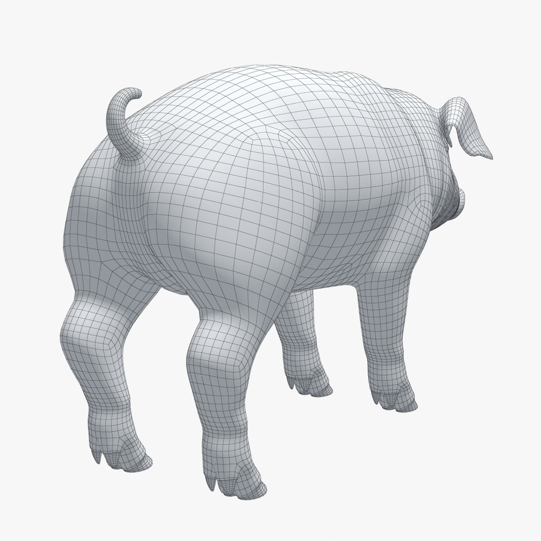 pig pork 3d model