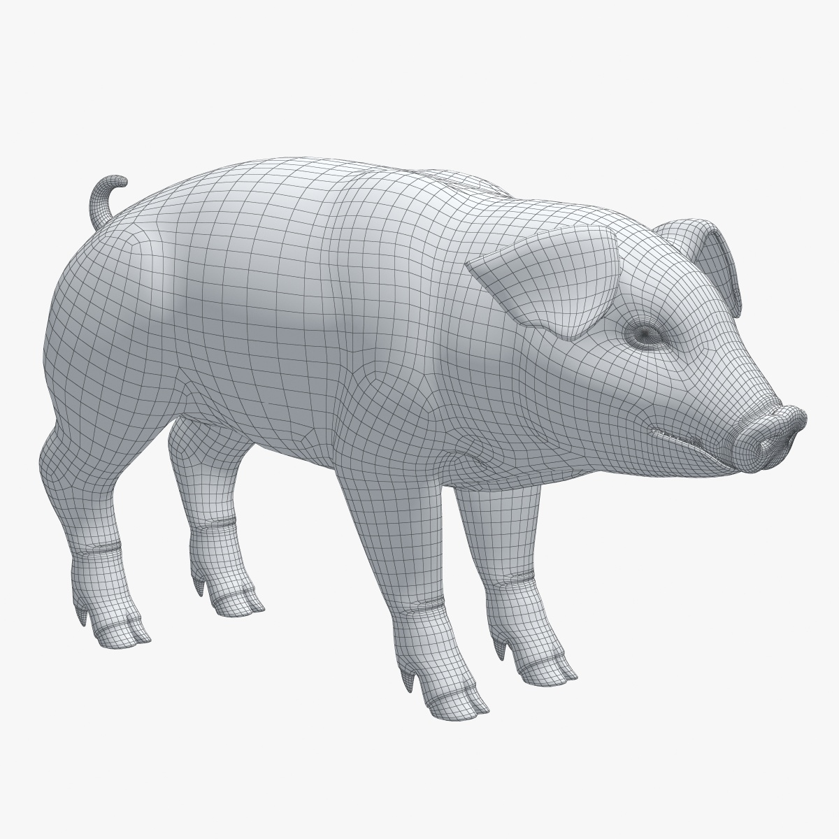 pig pork 3d model