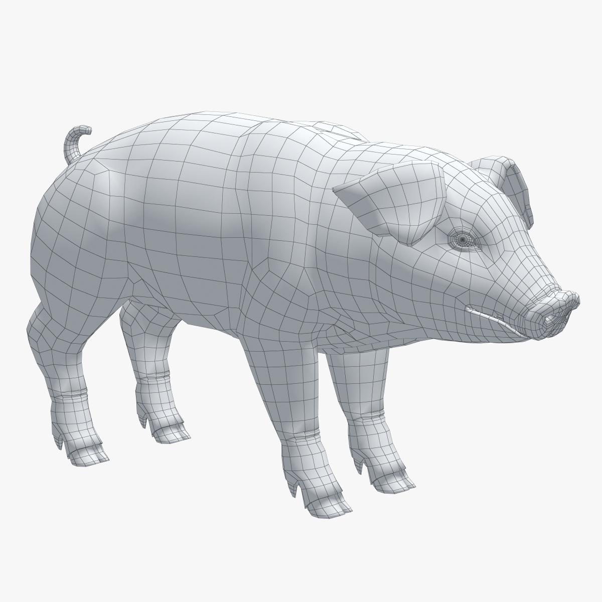 pig pork 3d model
