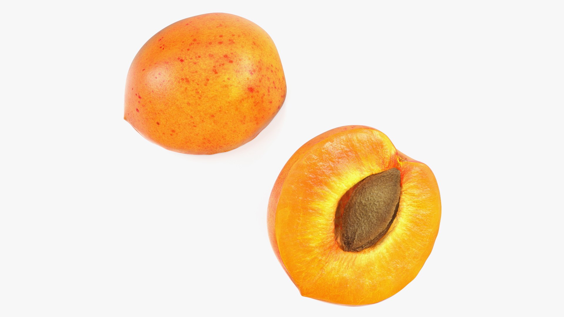 3D Apricot Cut in Half model - TurboSquid 2114813