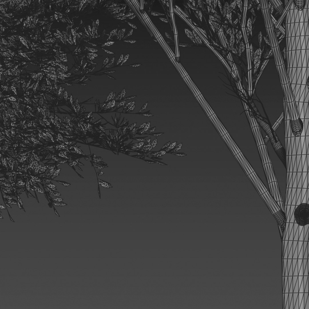 3D Model Set Of Purple Pony Plum Or Prunus Cerasifera Tree - 2 Trees ...