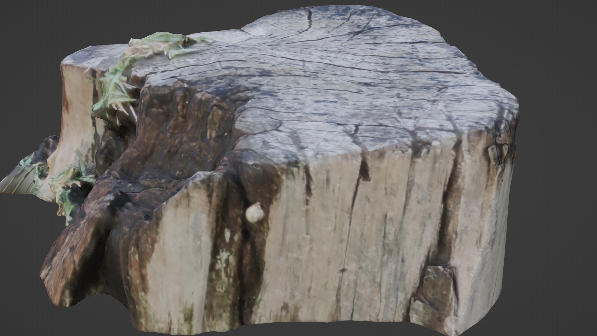 Stump 3D Model - TurboSquid 2329417