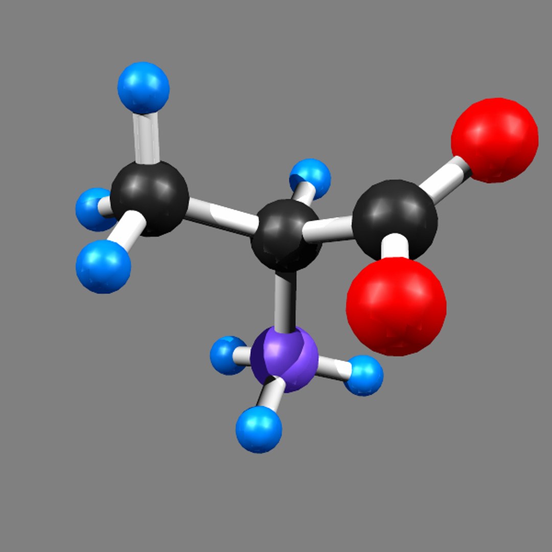 Alanine Organic Compound 3D Model - TurboSquid 1186753