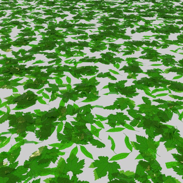 Free 3D Leaf Models | TurboSquid