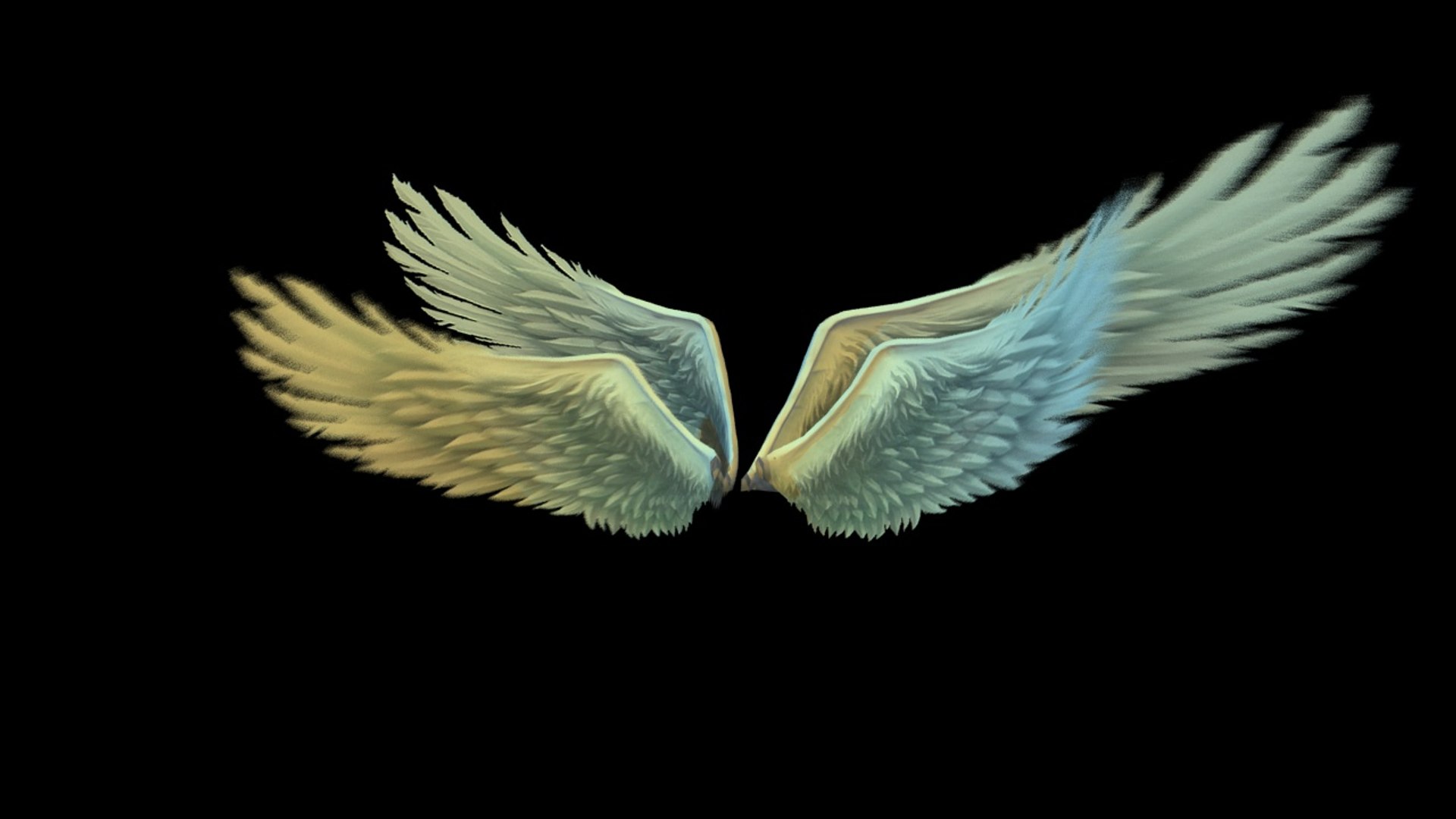 3d Model Realistic Wings