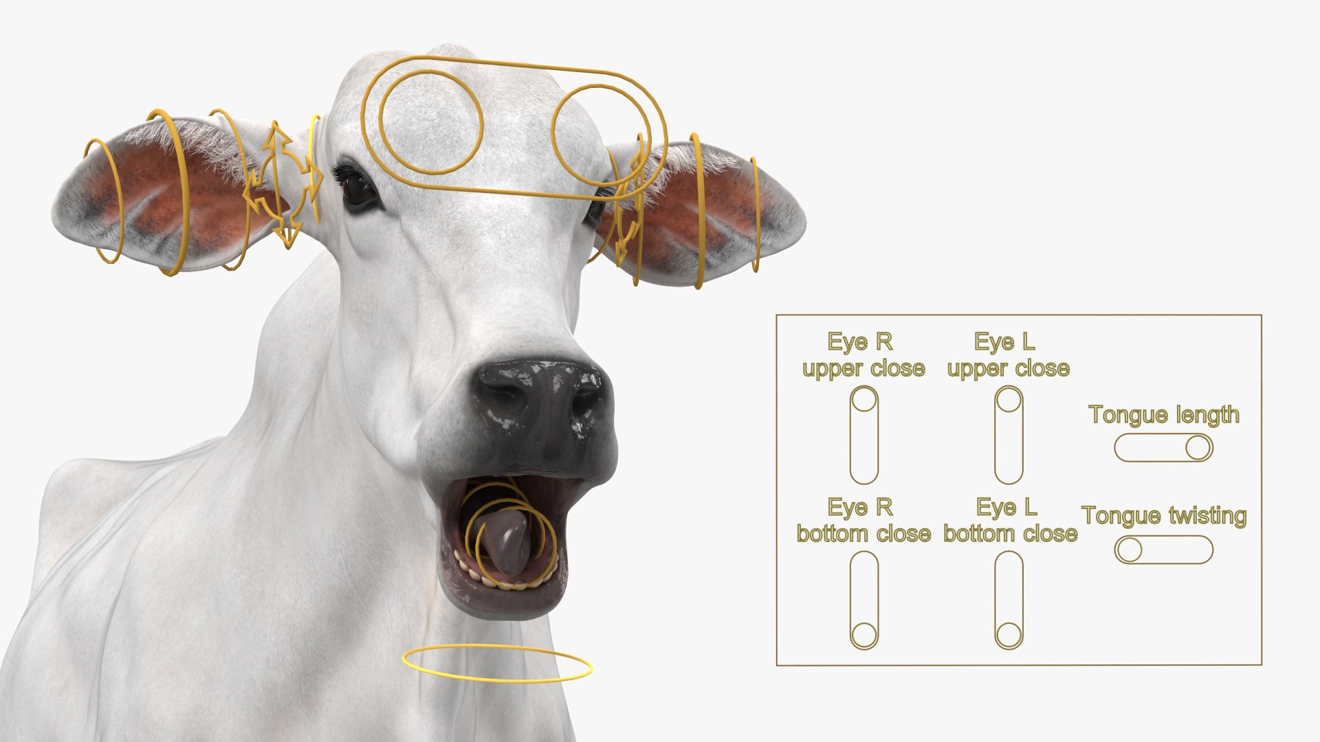 Nelore Cow Female Fur Rigged 3D Model - TurboSquid 2316338