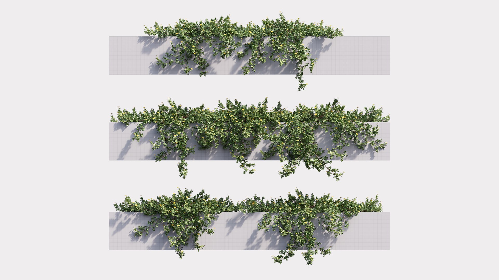 3D Model Wedelia Chinensis 02 - TurboSquid 1791194