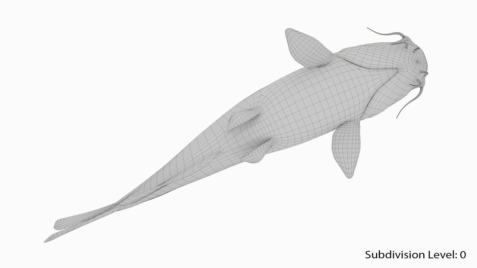 Blue Catfish Animated Model - TurboSquid 1810032