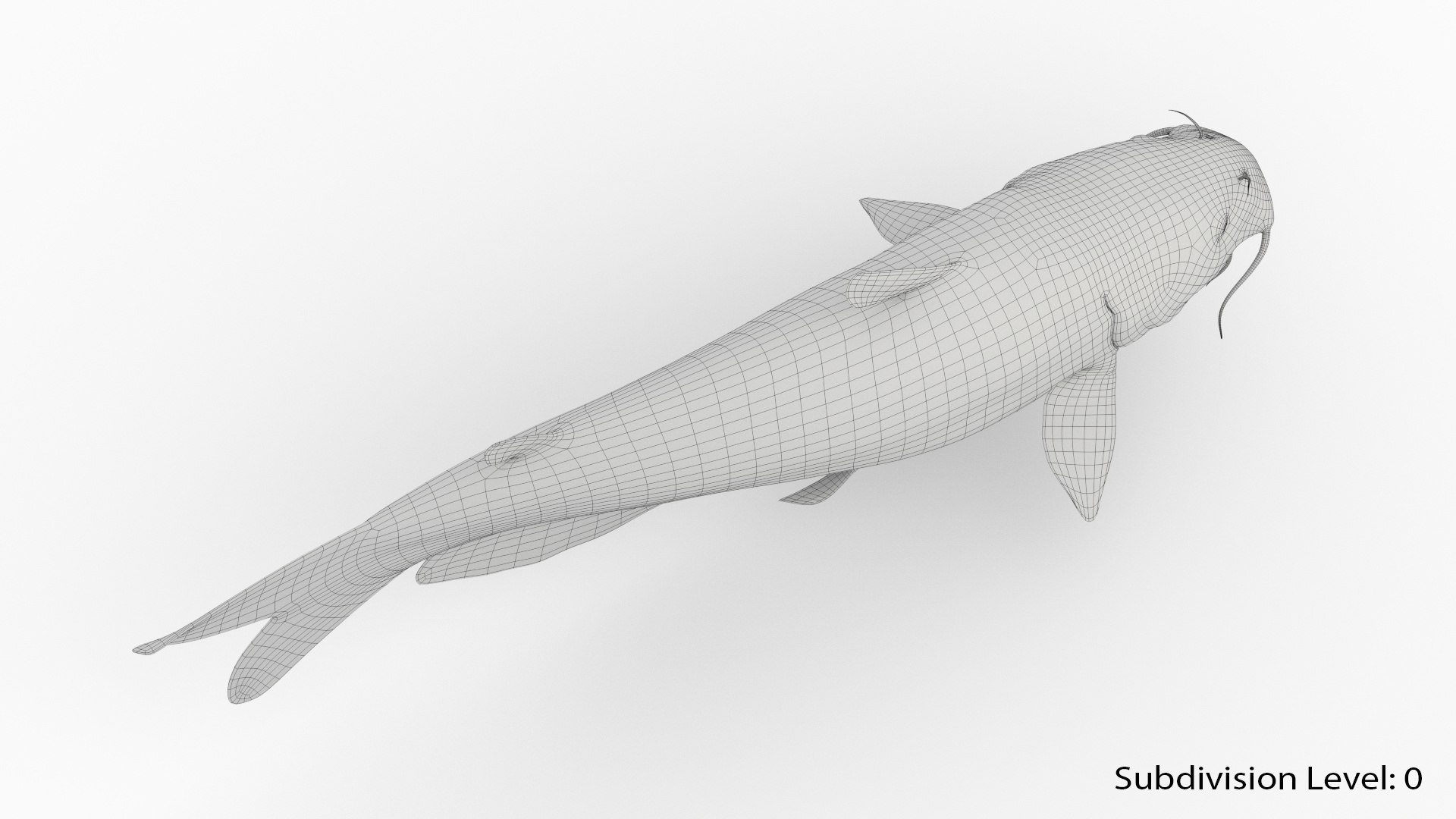 Blue Catfish Animated Model - TurboSquid 1810032