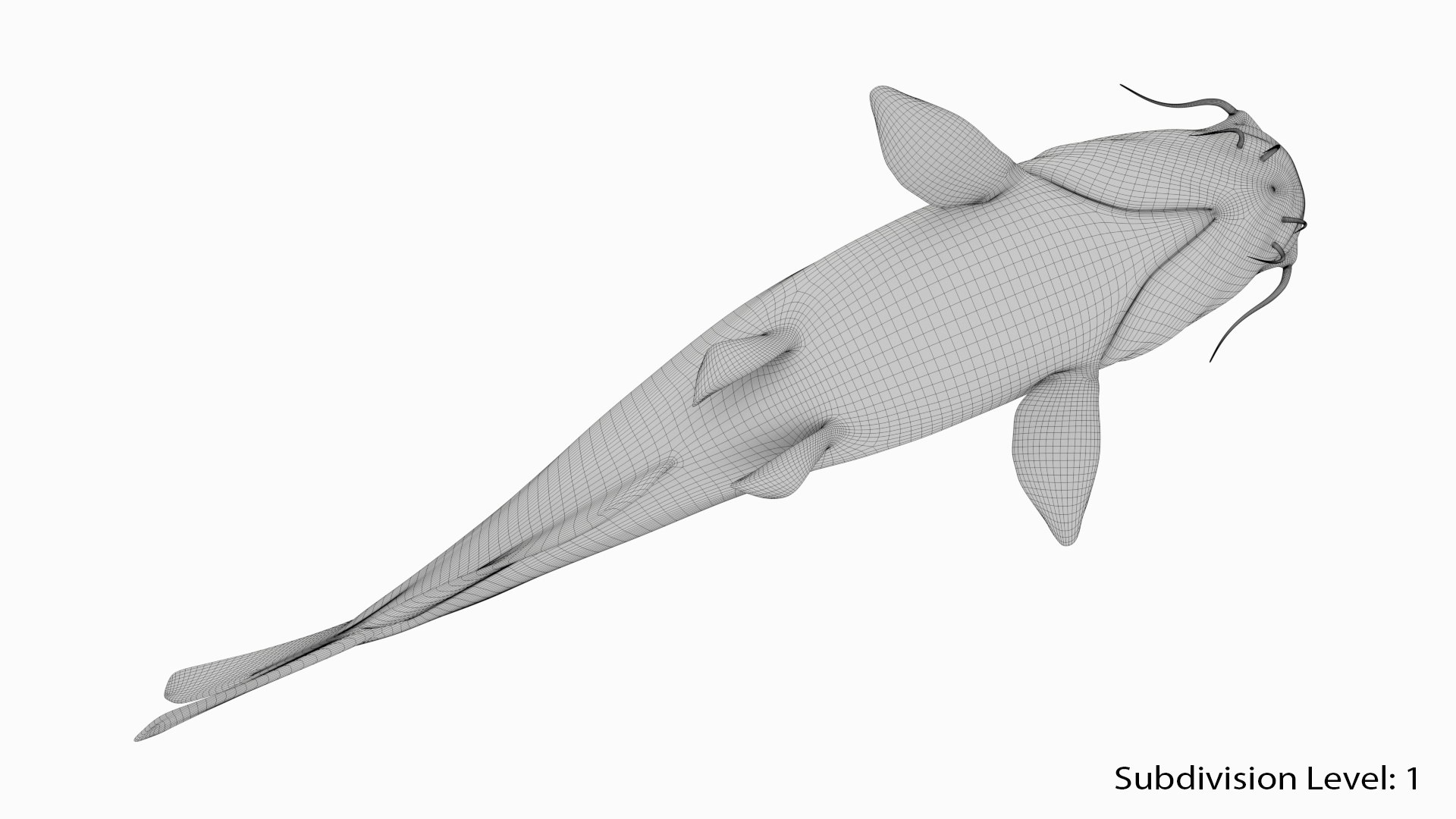 Blue Catfish Animated Model - TurboSquid 1810032
